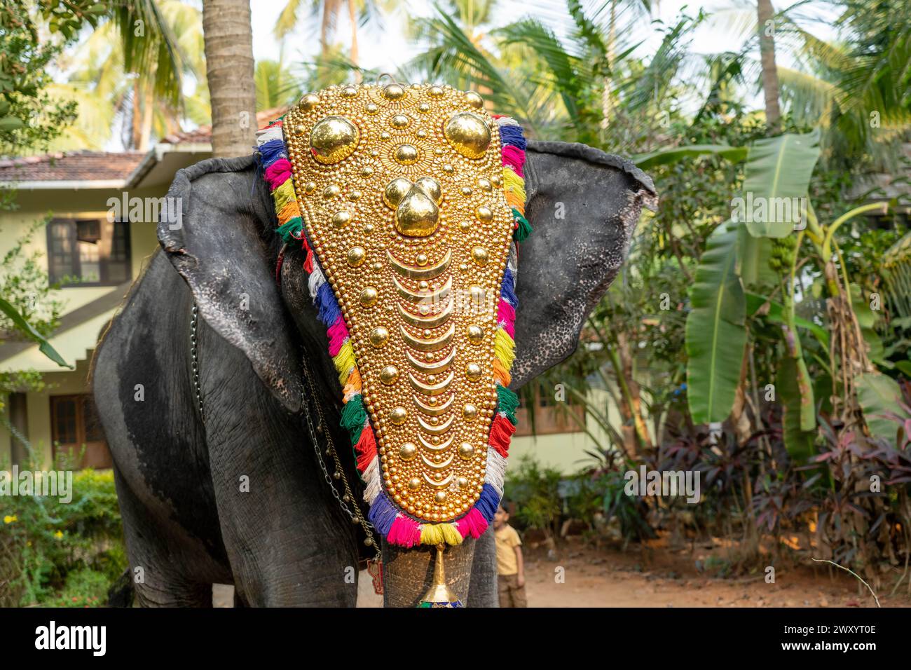 Mattathur, 27, March 2024: Dever temple festival celebration, elephant ...