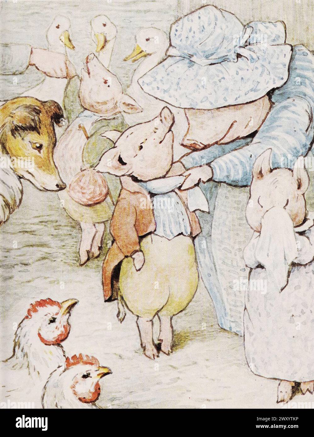 The tale of Pigling Bland by Potter, Beatrix, 1866-1943 Publication ...