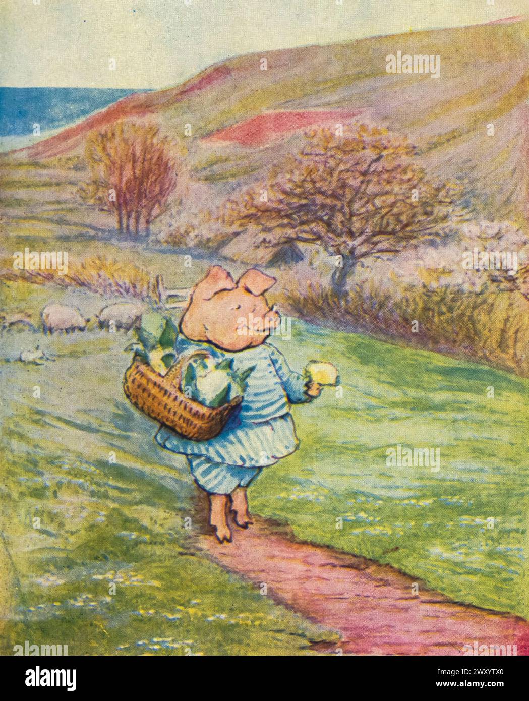 Beatrix potter illustration hi-res stock photography and images - Alamy