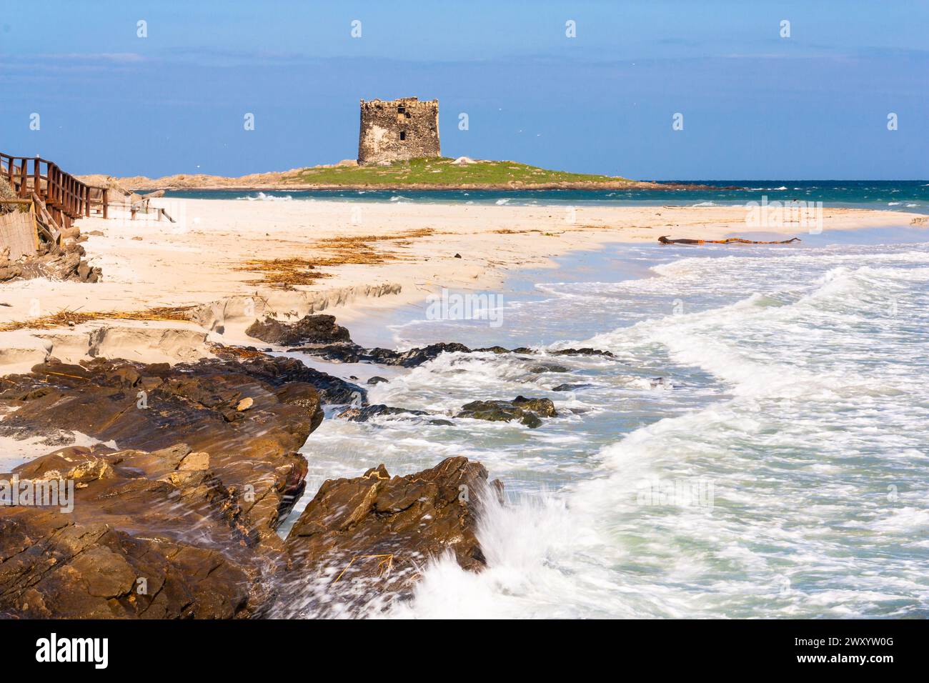 Stintino beach "La Pelosa", with its iconic white sand and ancient ...