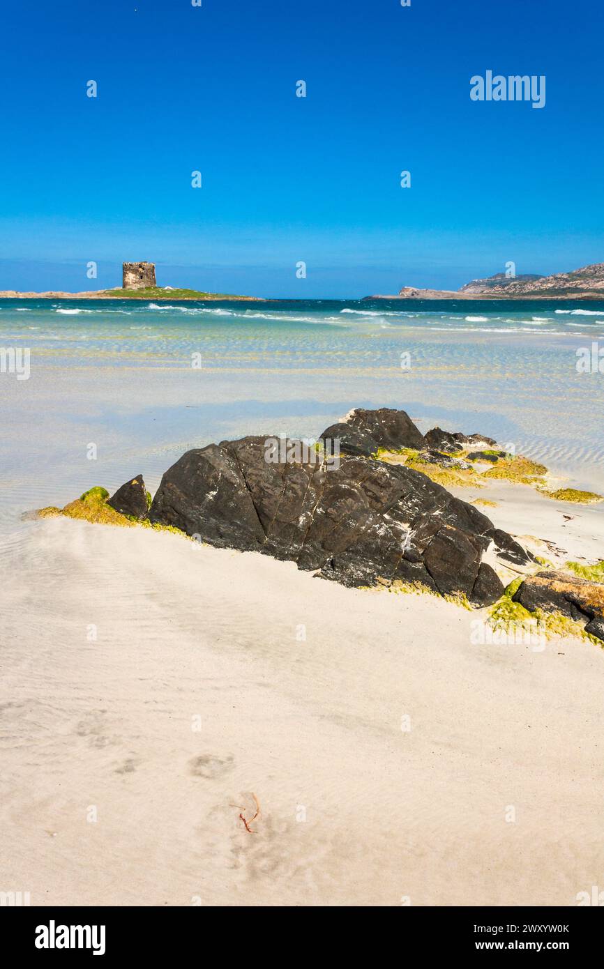 Stintino beach "La Pelosa", with its iconic white sand and ancient ...