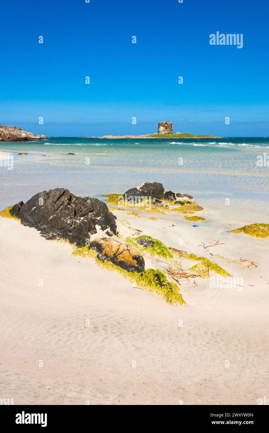 Stintino beach "La Pelosa", with its iconic white sand and ancient ...