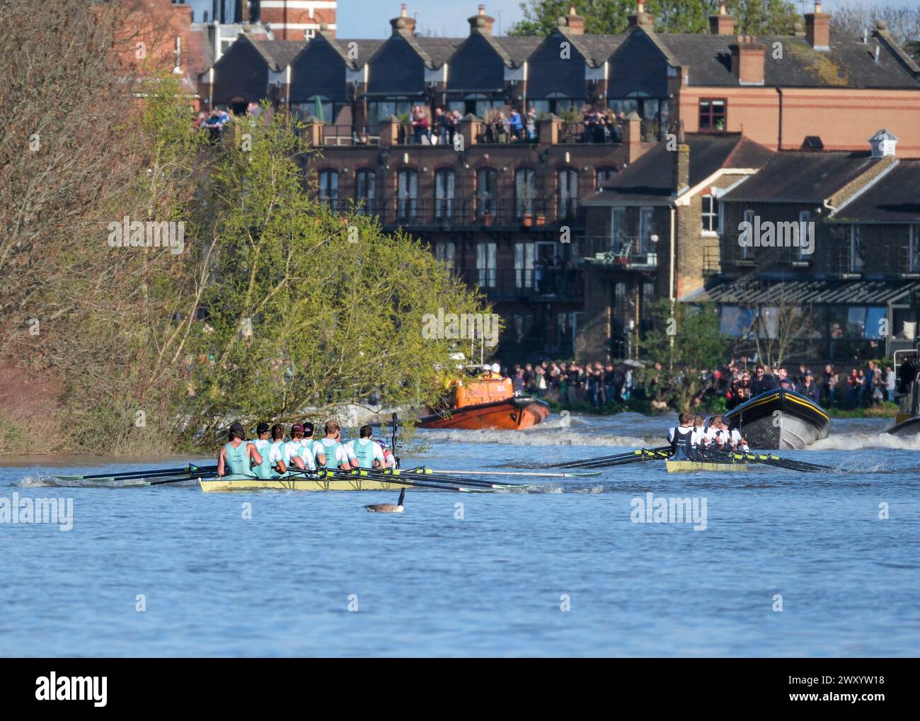 Oxford & Cambridge Boat Race Stock Photo - Alamy