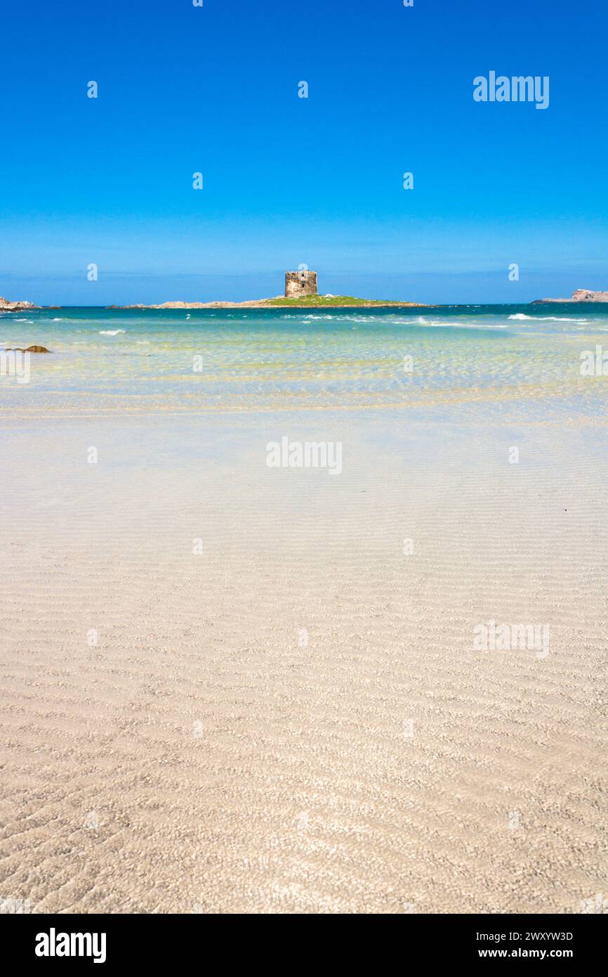 Stintino beach "La Pelosa", with its iconic white sand and ancient ...