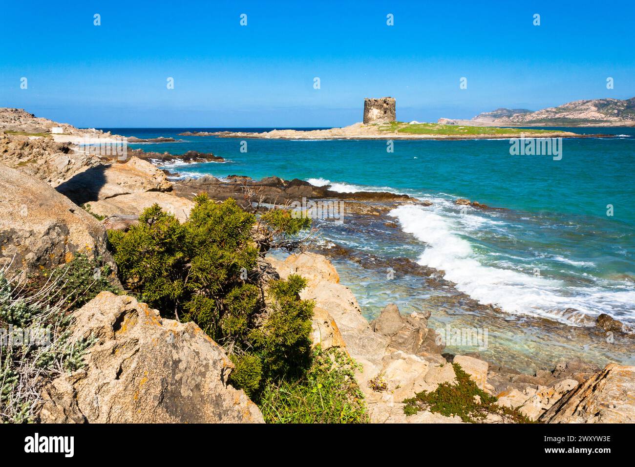 Stintino beach "La Pelosa", with its iconic white sand and ancient ...