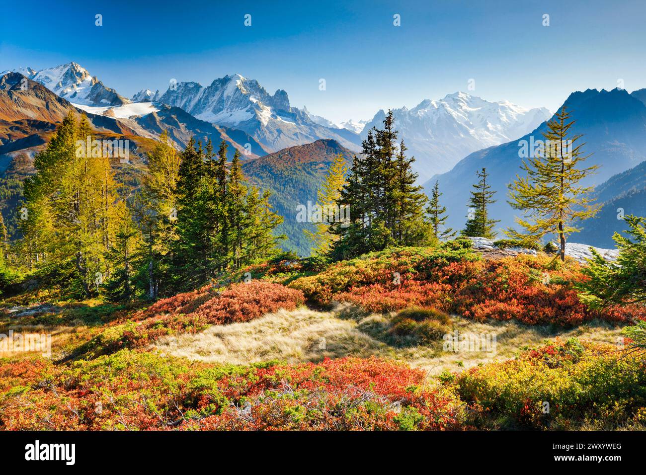 View of the Aiguille Verte and Mont Blanc in morning light in the ...