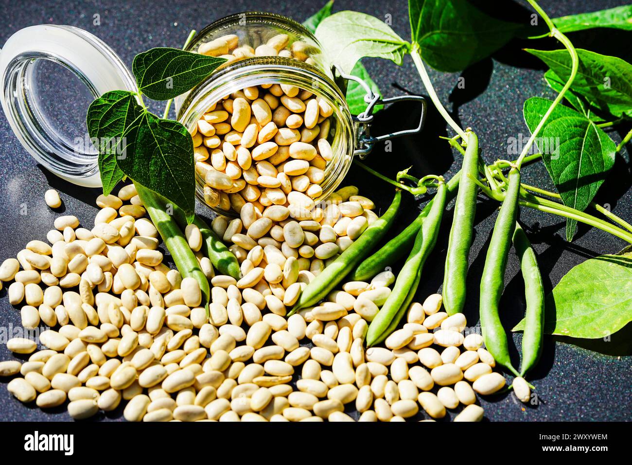 Preserving jars fruit vegetables hi-res stock photography and images ...