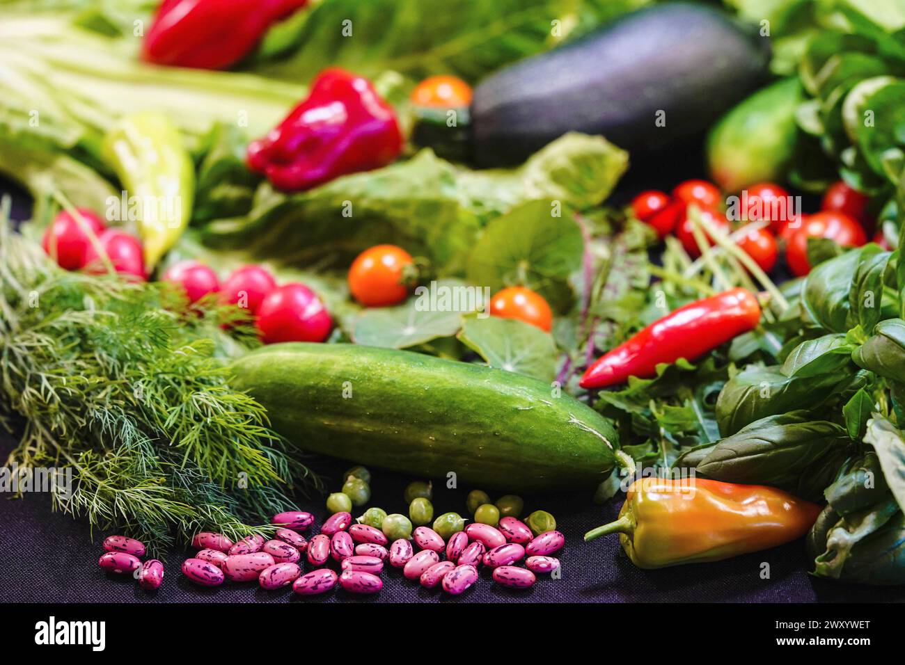 Vegetables harvested from the garden: peppers, peppers, peas, beans ...