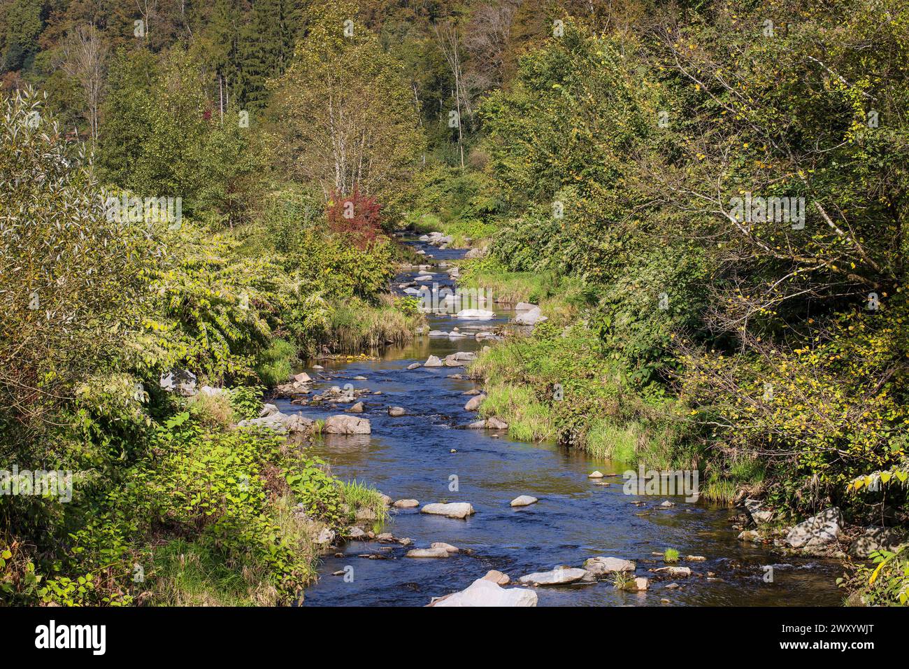 Erlautal donauhangleiten bei passau hi-res stock photography and images ...