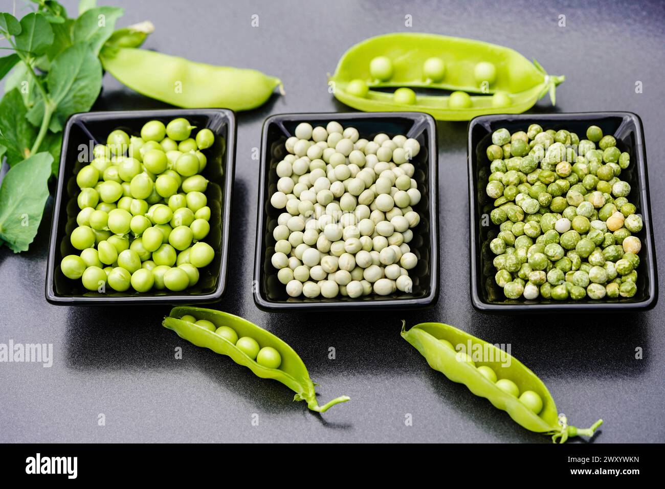 garden pea (Pisum sativum), different peas on a plates, with plant and ...