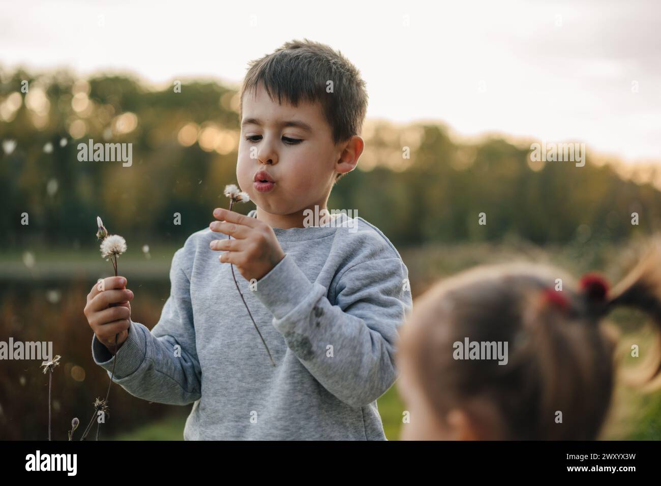 Sister and brother playing together in the park blowing dandelions. Kids explore nature. Young ...