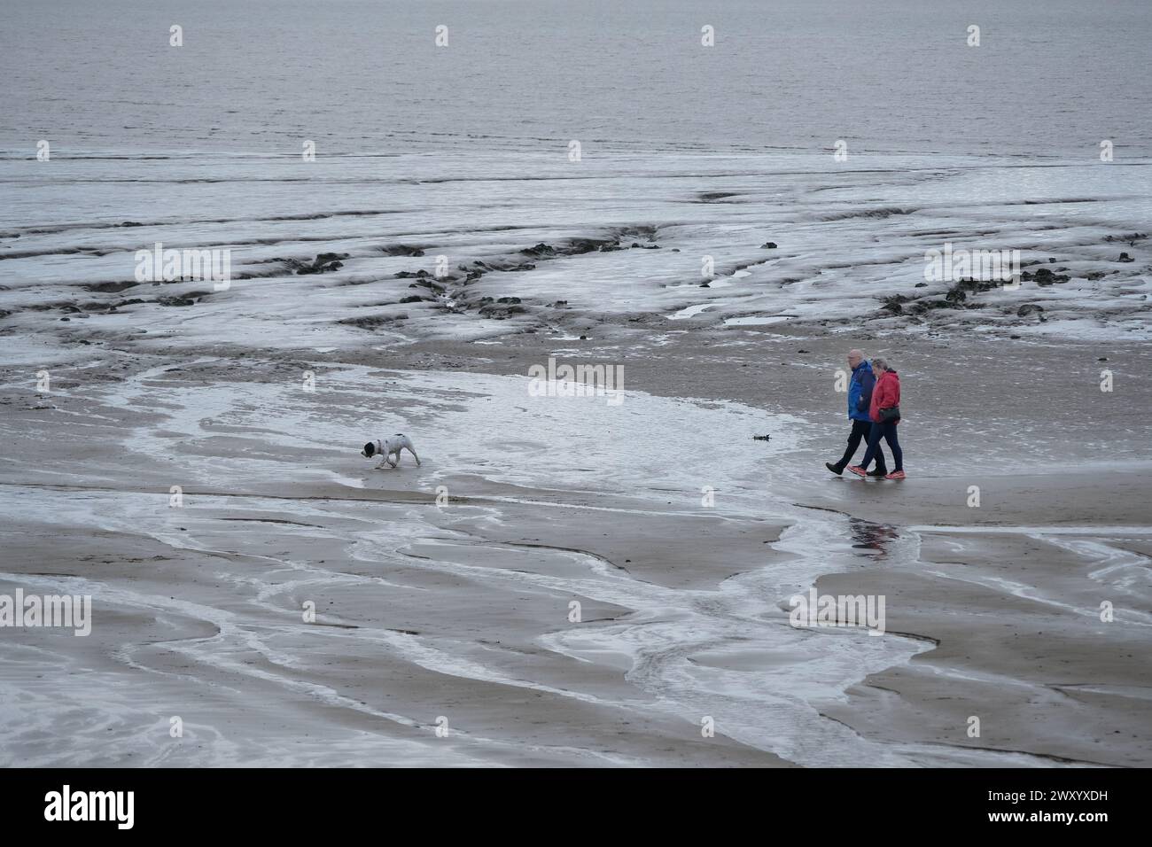 Two people walking their dog on a cold, wet, windy, rainy beach Stock ...