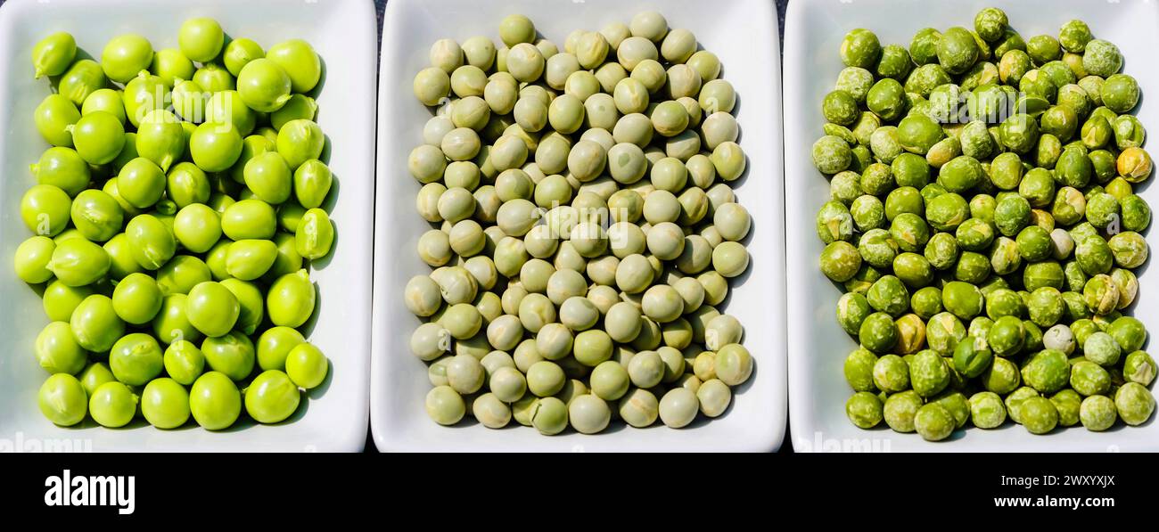 garden pea (Pisum sativum), different peas on a plates Stock Photo - Alamy