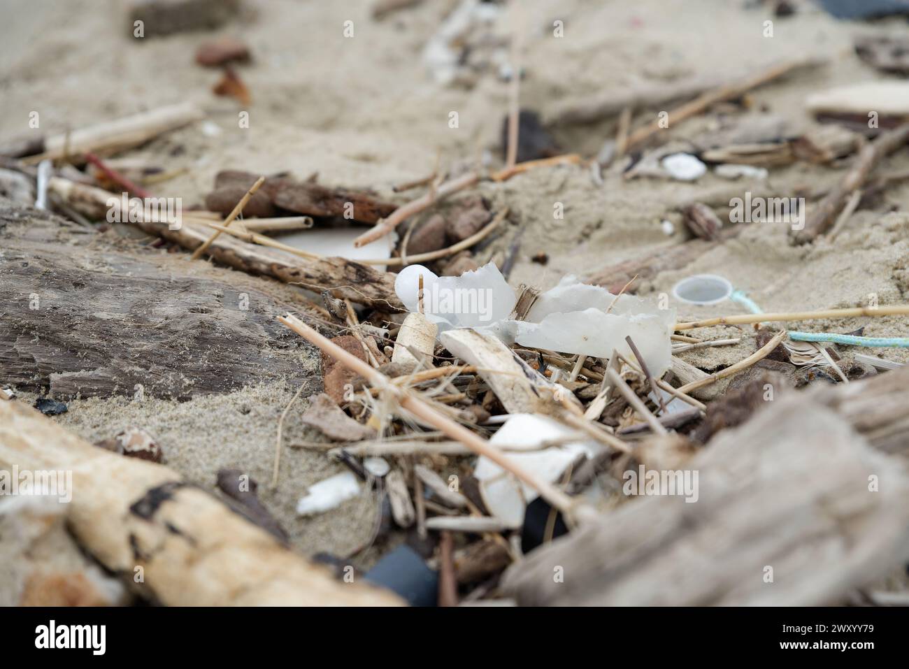 Plastic waste and various objects on the sand by the beach. Trash on ...