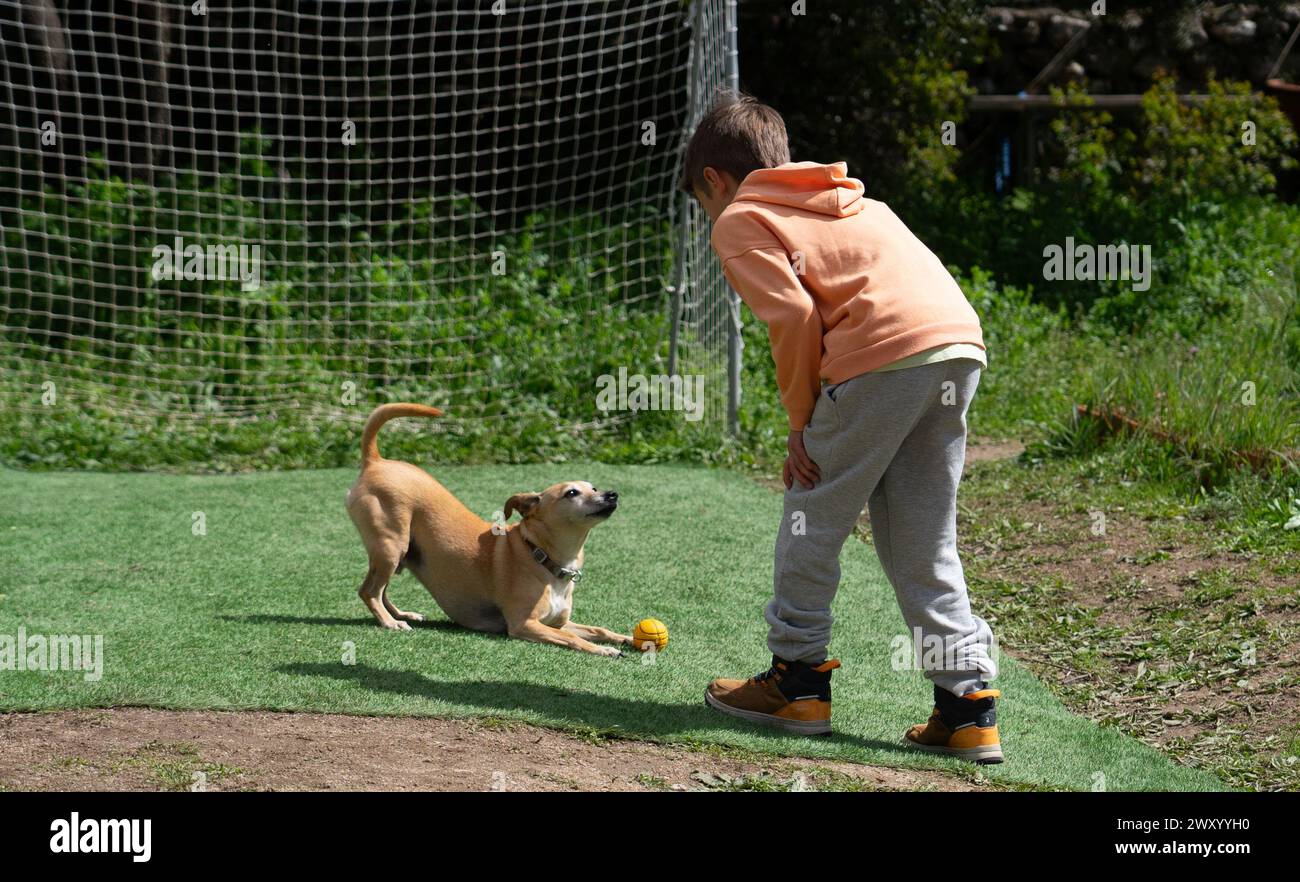 Dog playing catch child hi-res stock photography and images - Alamy