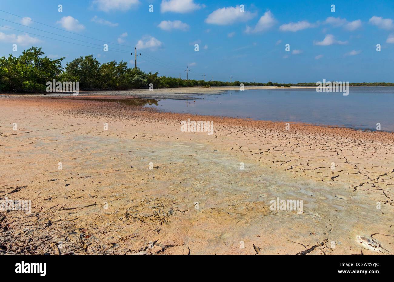 Pink lake in Cuba, Cayo Coco island. It has its color because of the ...