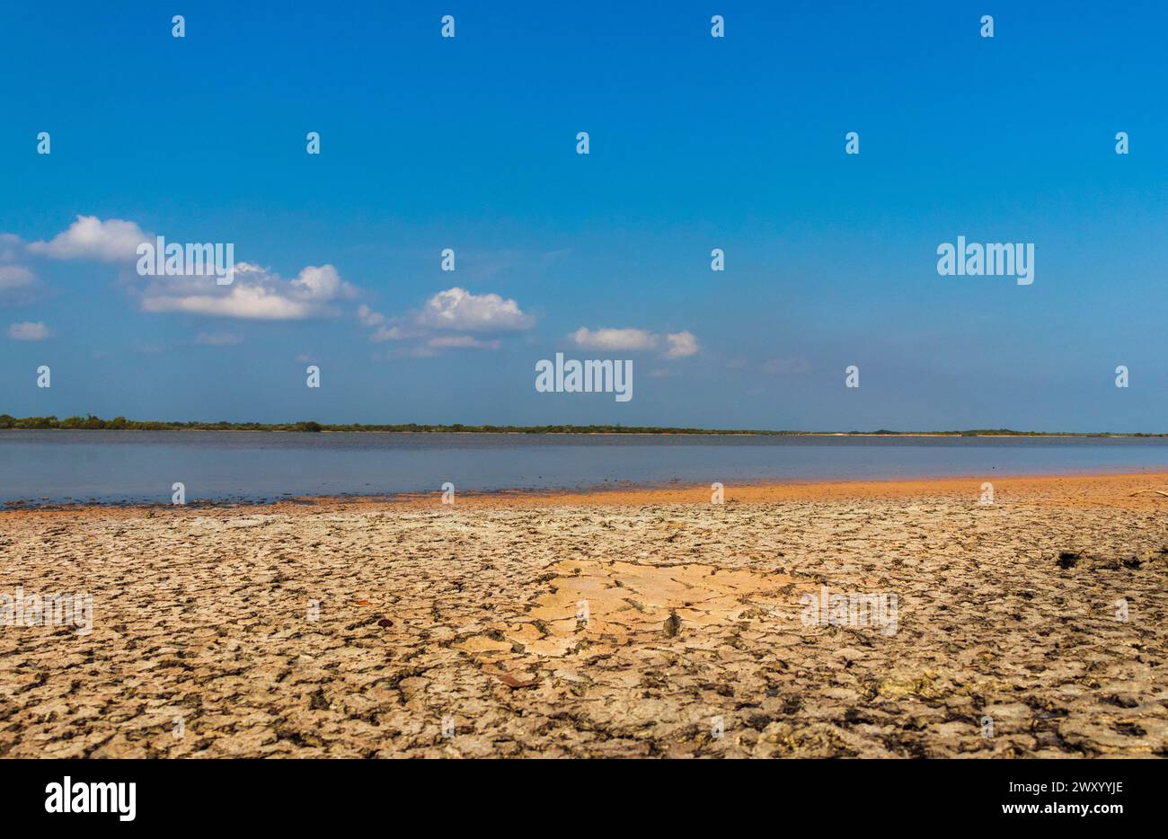 Pink lake in Cuba, Cayo Coco island. It has its color because of the ...