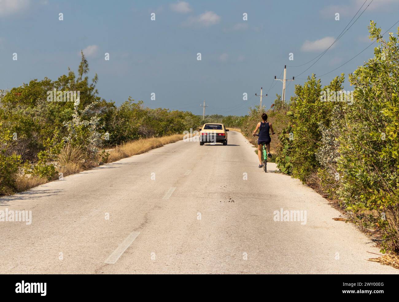 Tourist taking a bicycle road trip in Cayo Coco island, Cuba Stock ...