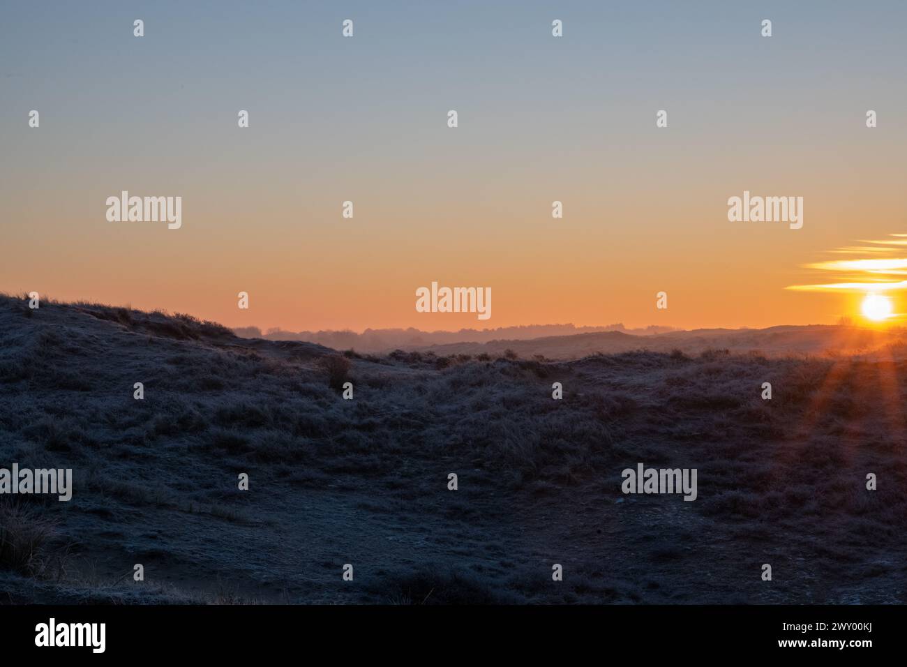 Winter in the dunes Stock Photo - Alamy