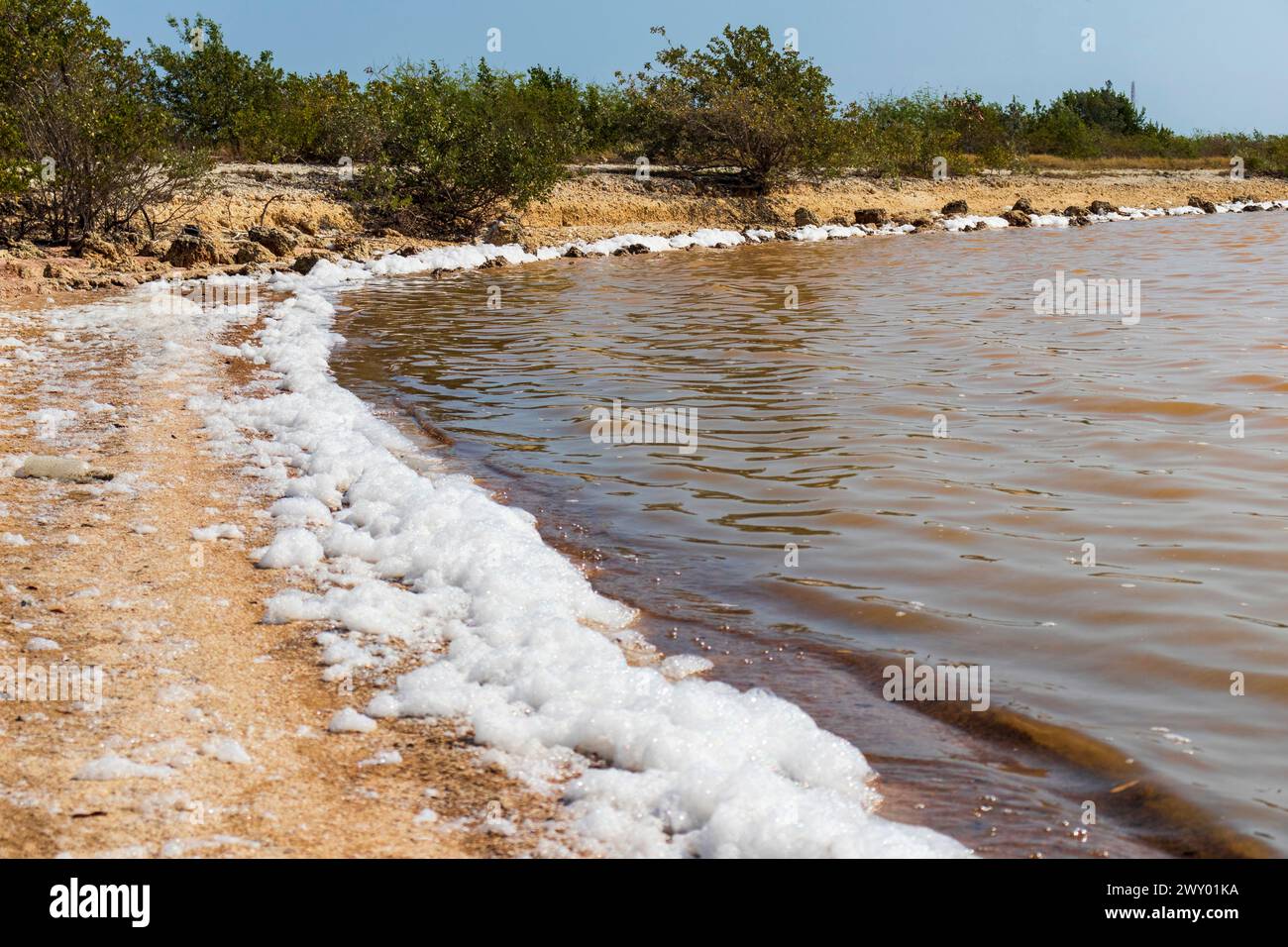 Pink lake in Cuba, Cayo Coco island. It has its color because of the ...