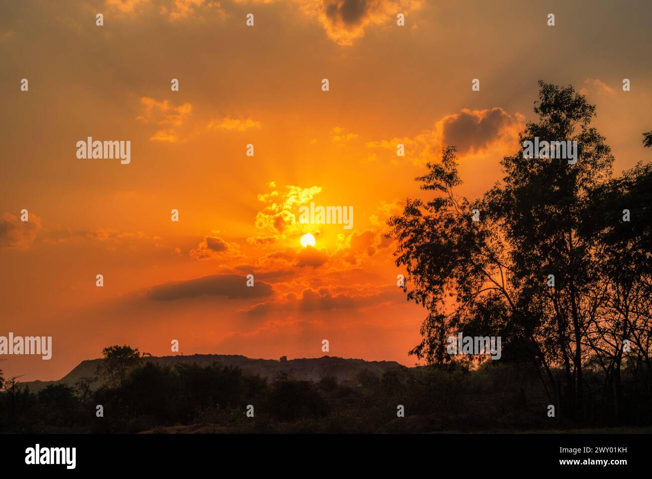 A breathtaking golden hour photo capturing the warmth of the sunset, painting the sky in hues of ...