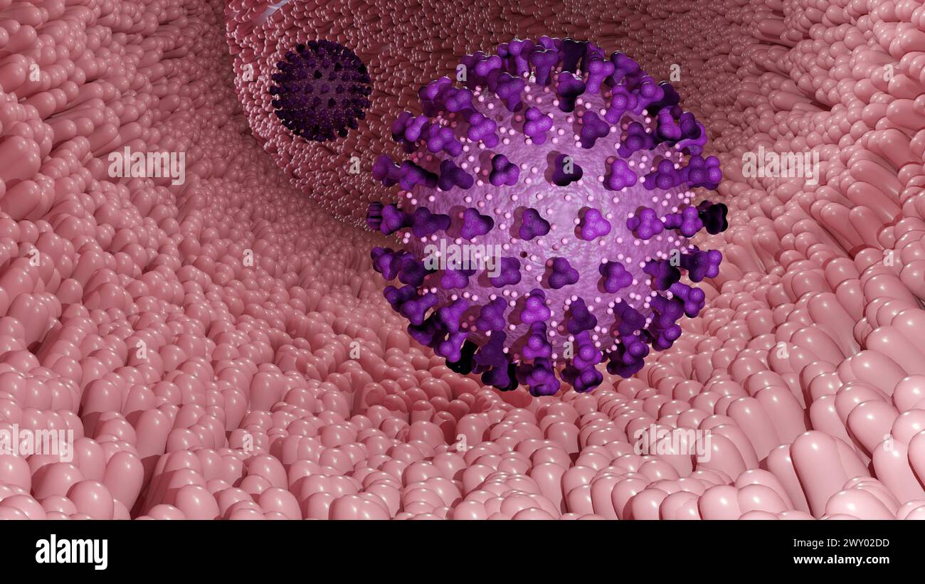 Human enterovirus hi-res stock photography and images - Alamy