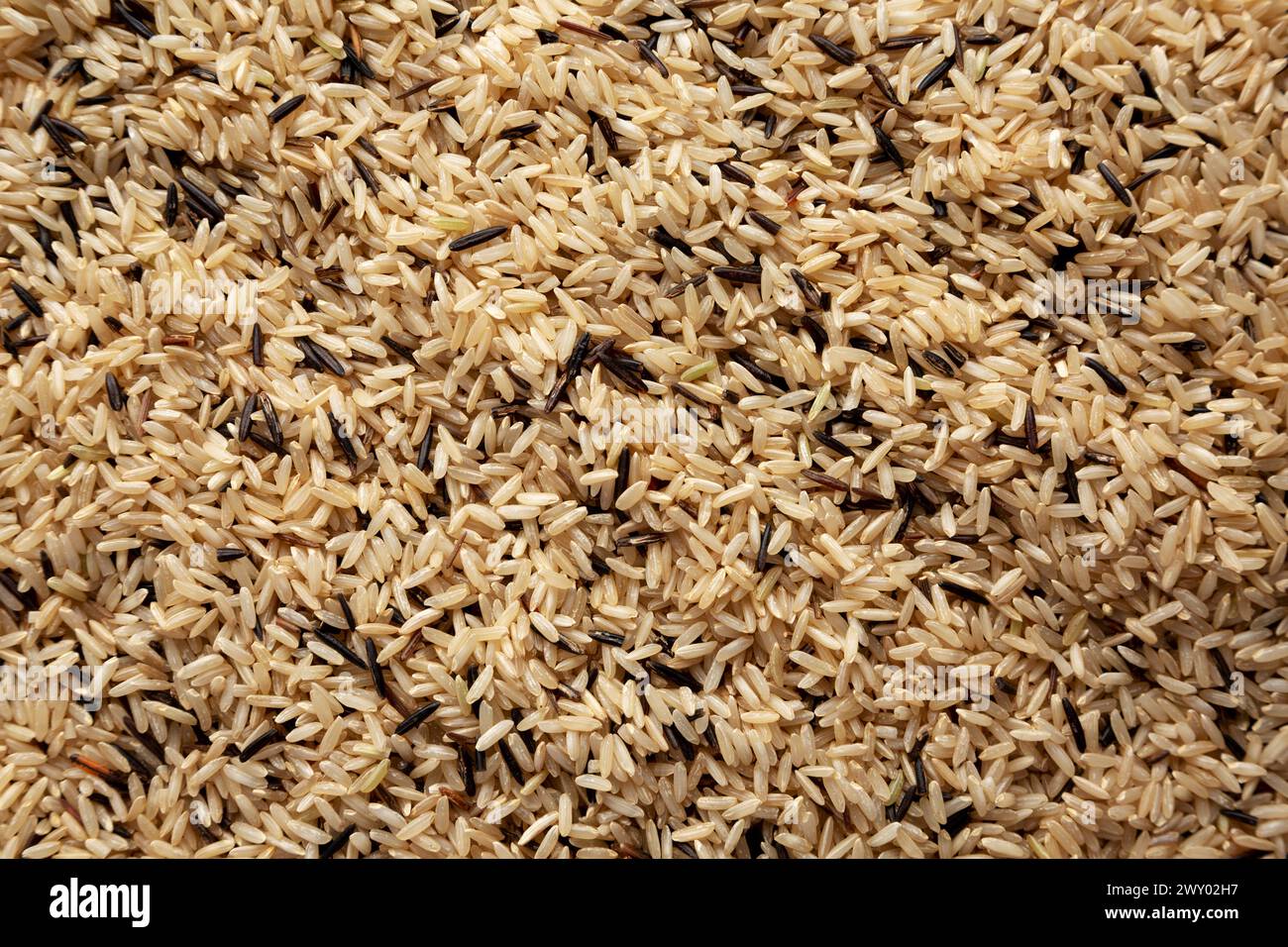 Raw Organic Wild Rice Background Stock Photo - Alamy