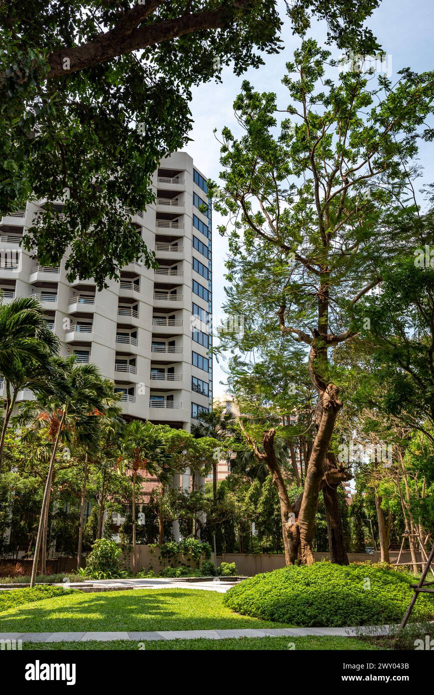An exterior of high risers and trees silhouetted against a vibrant ...