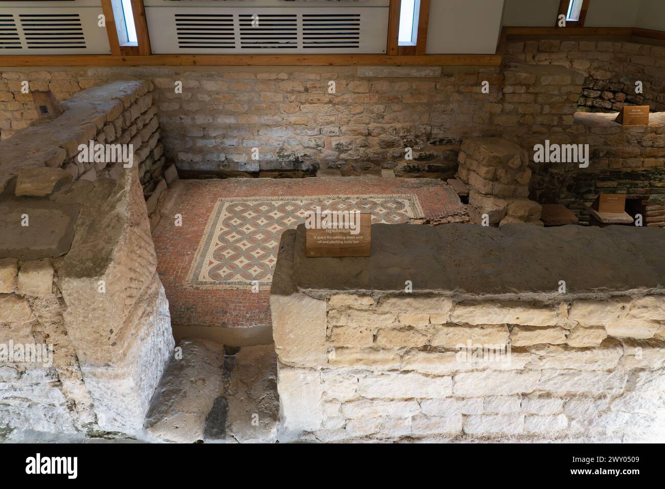 Tepidarium hi-res stock photography and images - Alamy