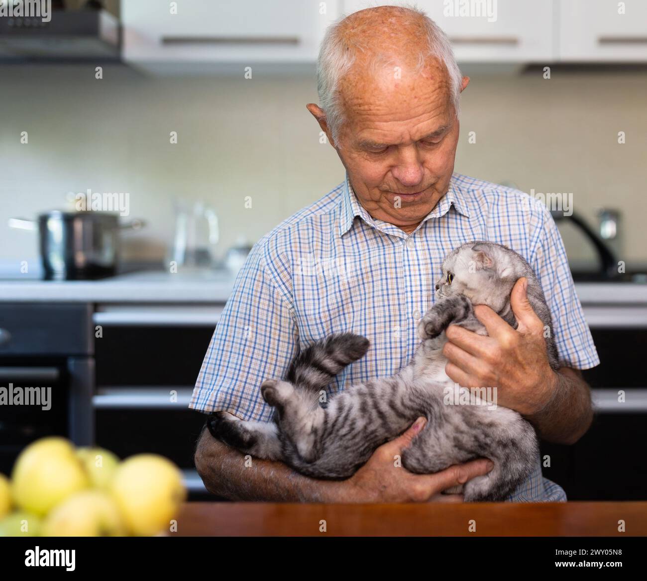 Old man and his cat hi-res stock photography and images - Alamy