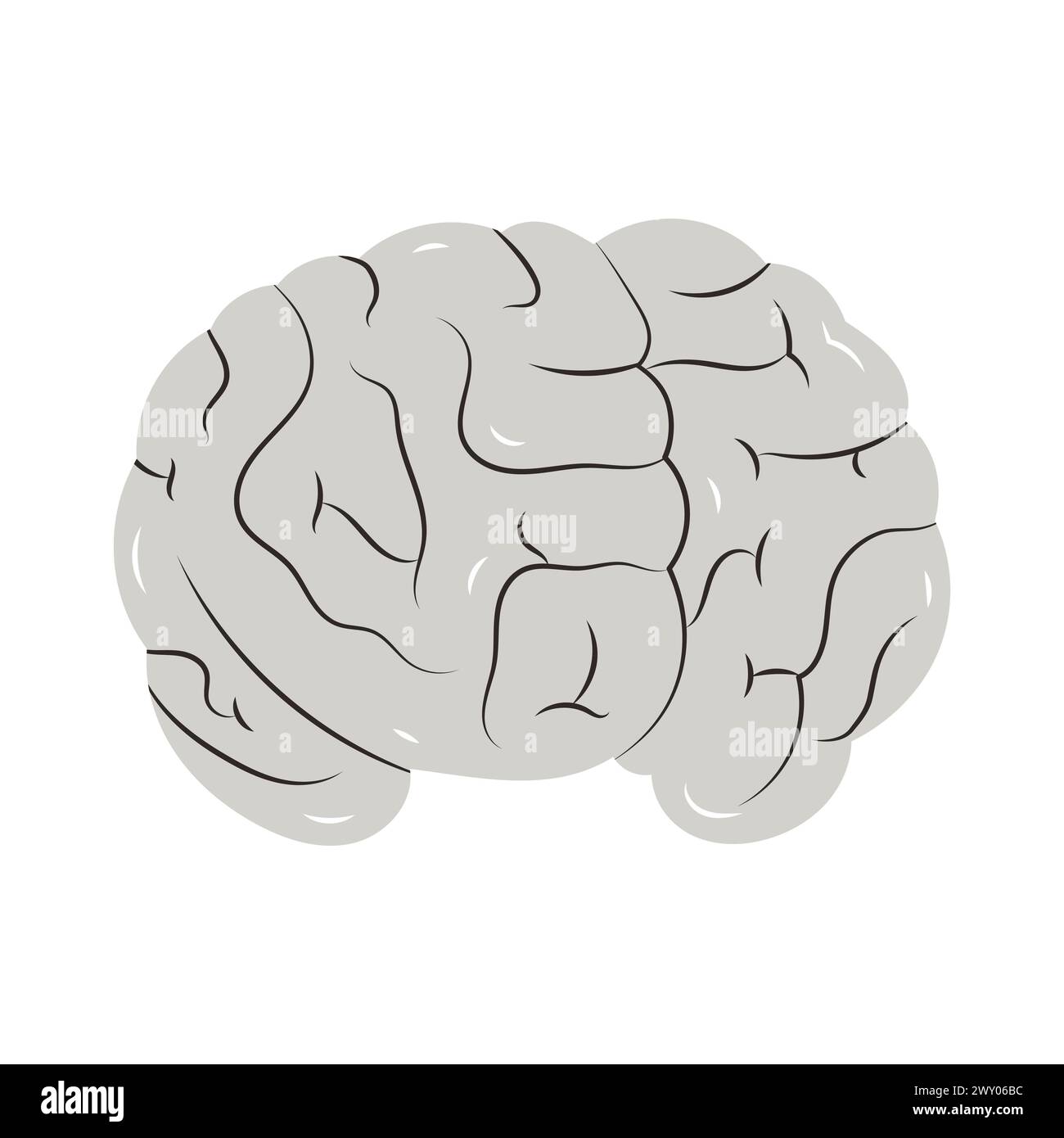 Brain health center Cut Out Stock Images & Pictures - Alamy