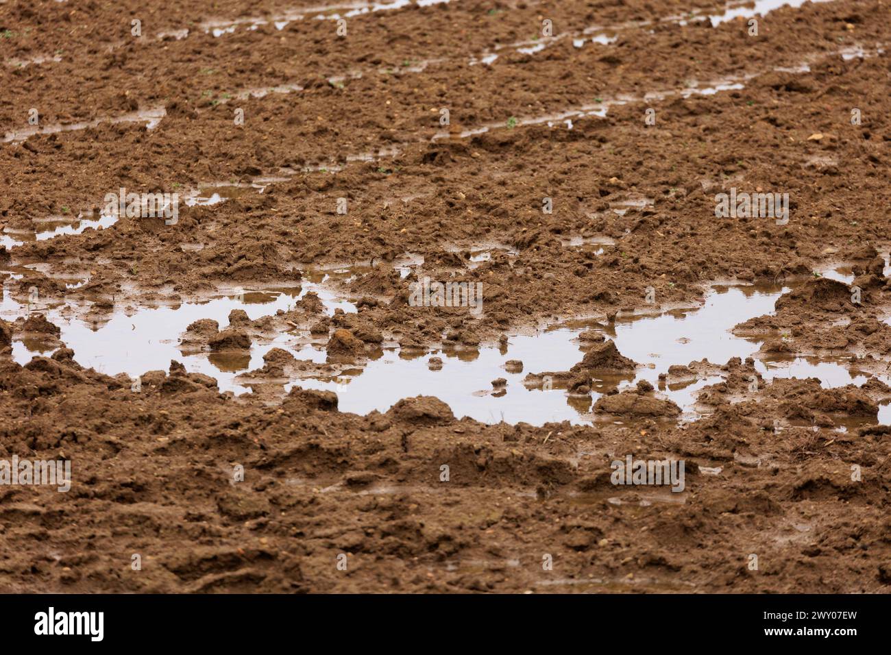 3rd april 2024 hi-res stock photography and images - Alamy