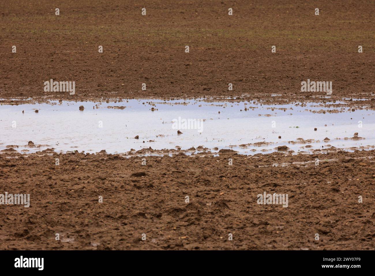 3rd april 2024 hi-res stock photography and images - Alamy