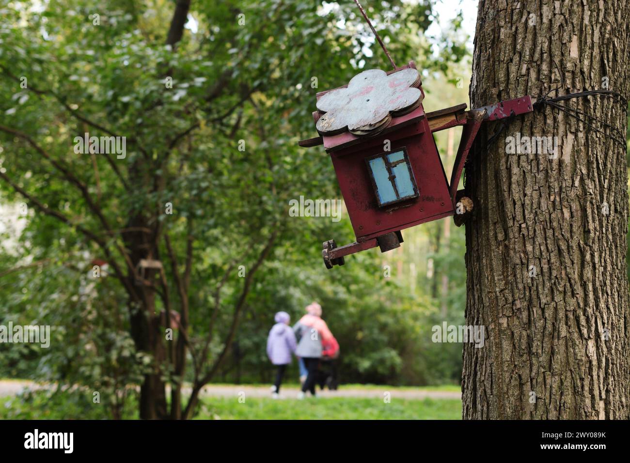 Beautiful small house with blue window on tree. This is the feeder for ...