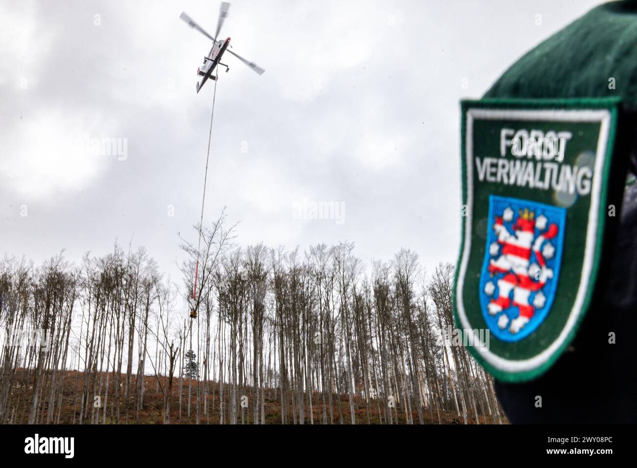 Steinach, Germany. 03rd Apr, 2024. A forestry employee observes the ...