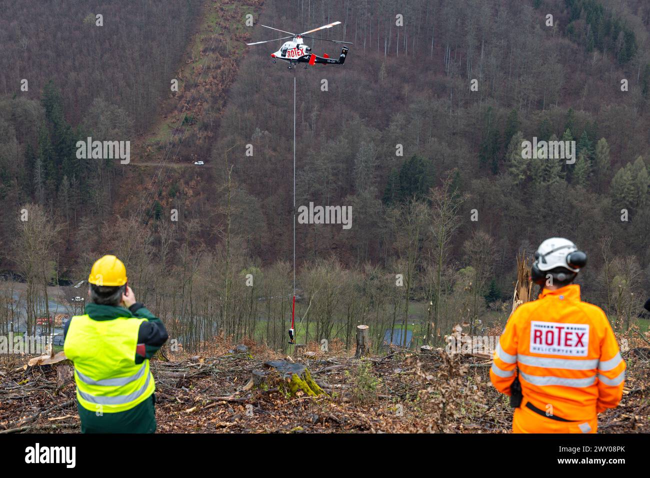 Steinach, Germany. 03rd Apr, 2024. Forestry workers observe the special ...