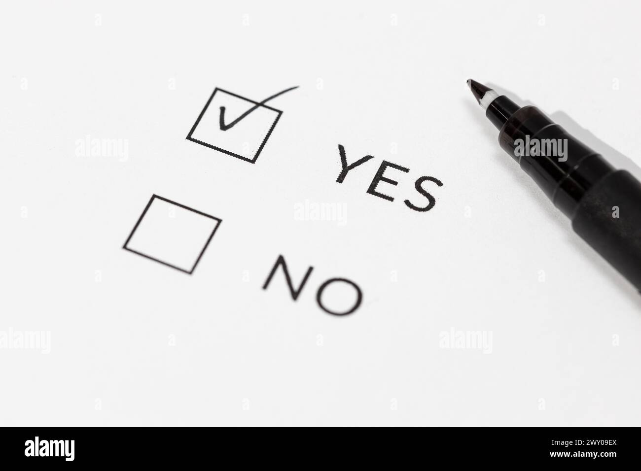 Yes or No Check boxes on white paper Stock Photo - Alamy