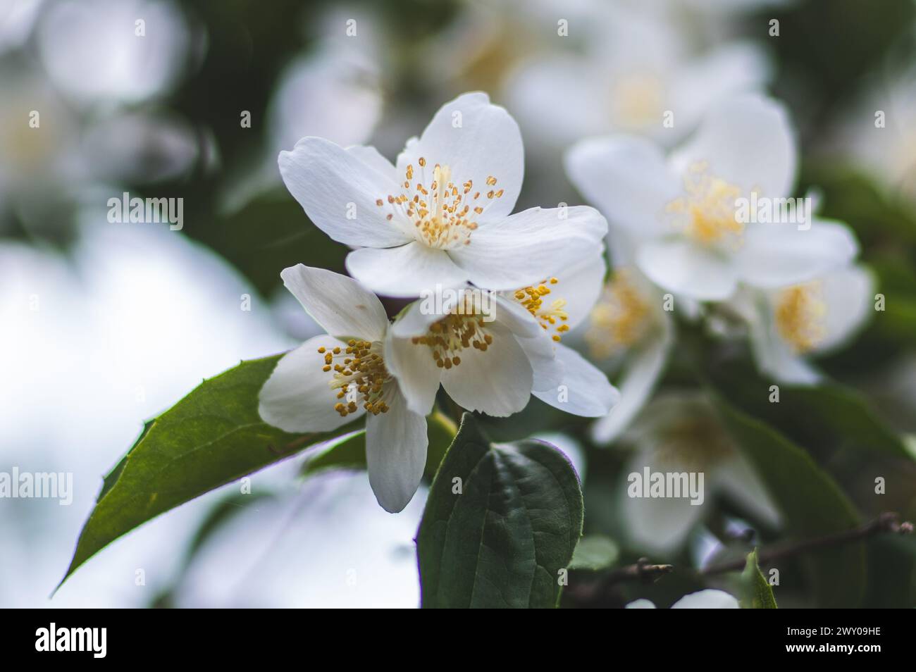 Striking seasonal contrast hi-res stock photography and images - Alamy