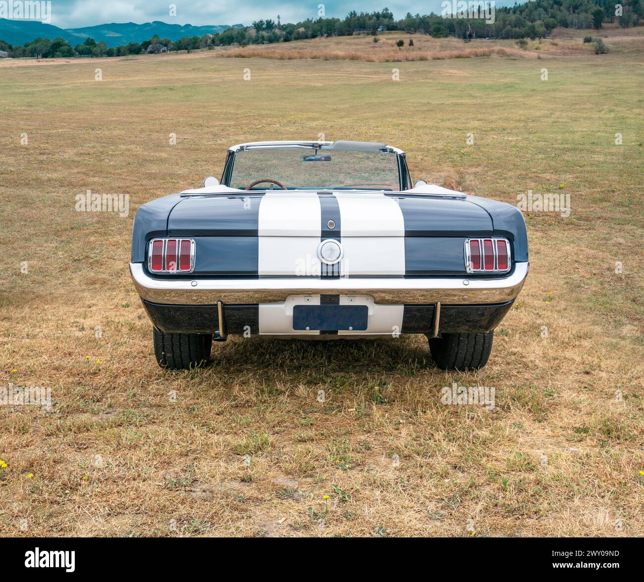 Back side of a classic american car black with white stripes Stock ...