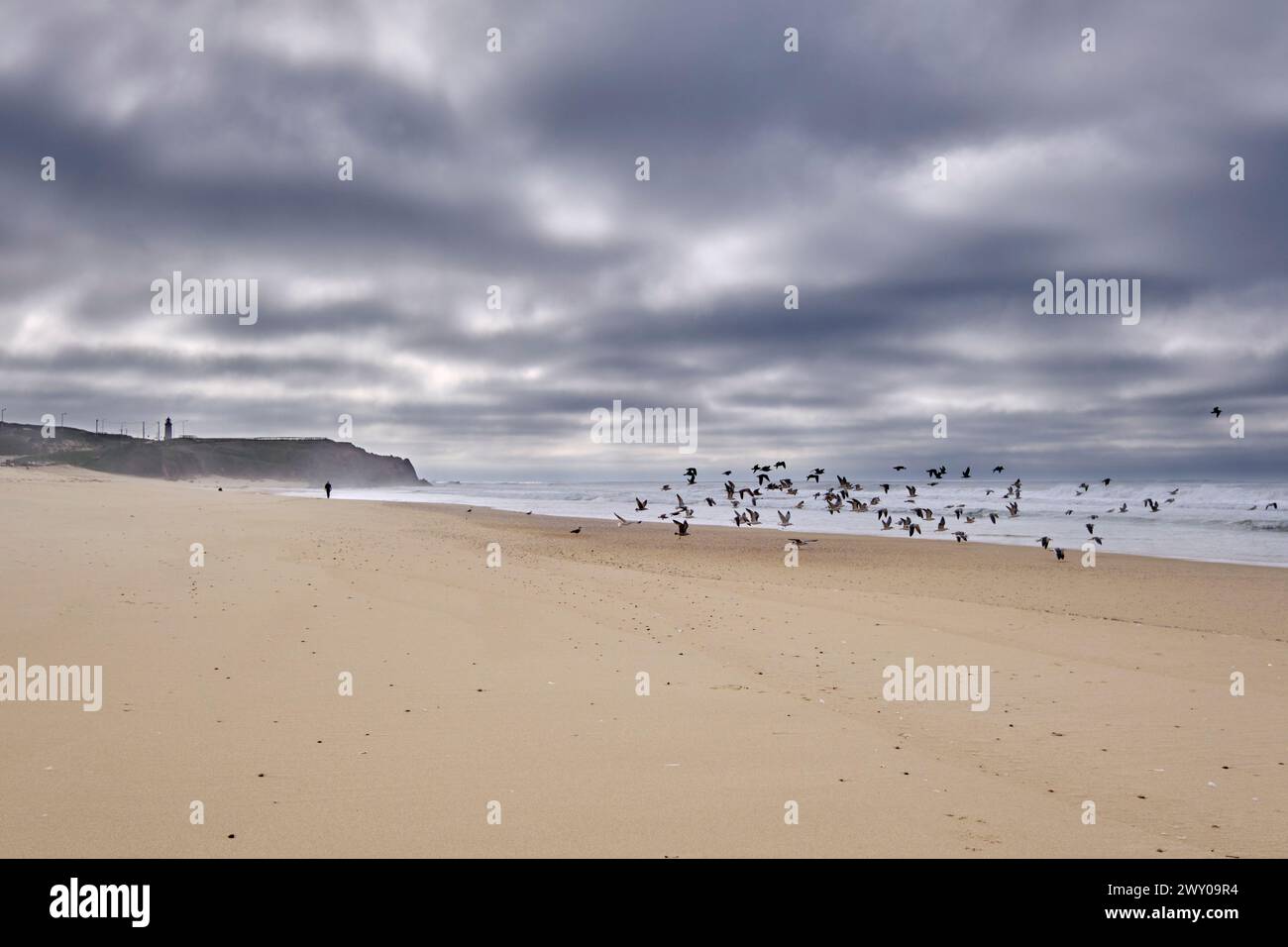 Ribeira de moel hi-res stock photography and images - Alamy