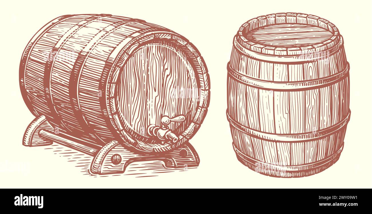 Oak barrel, hand drawn vector illustration. Wooden cask, keg sketch ...