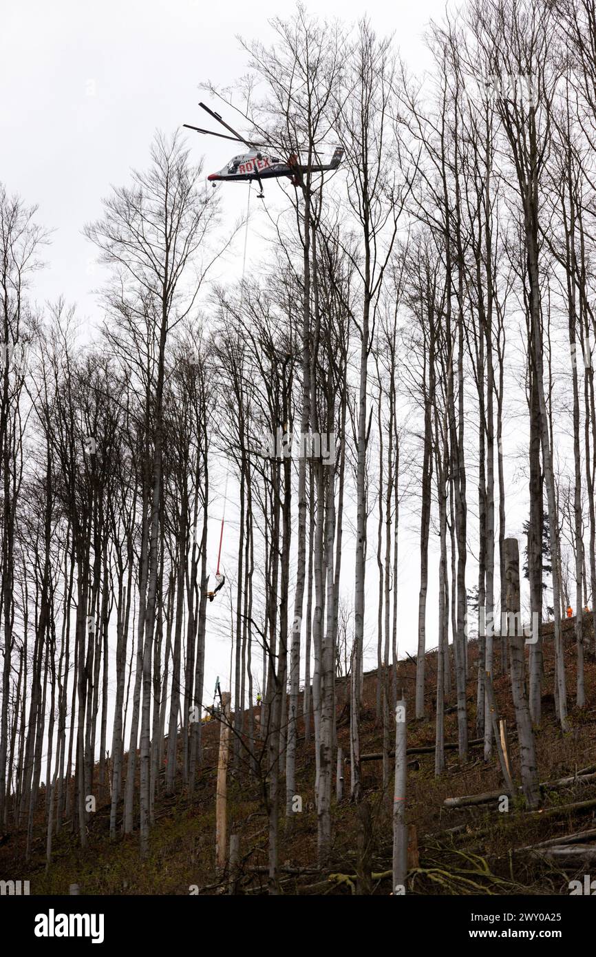 03 April 2024, Thuringia, Steinach: A special helicopter with a ...