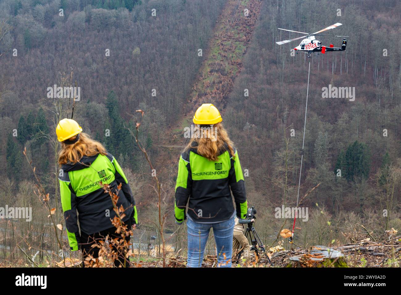 03 April 2024, Thuringia, Steinach: Forestry workers observe the ...