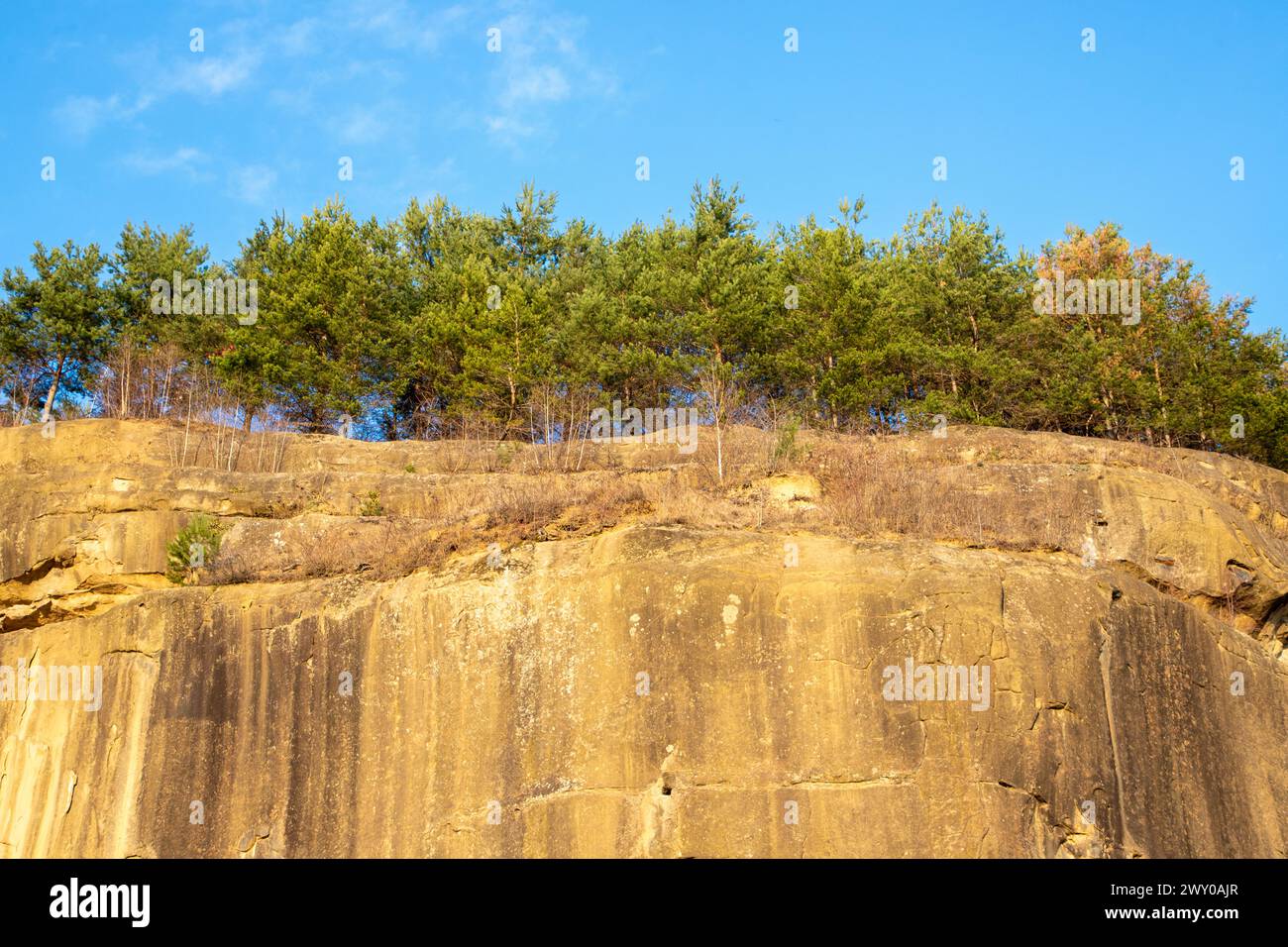 Some trees on top of a high rock wall Stock Photo - Alamy