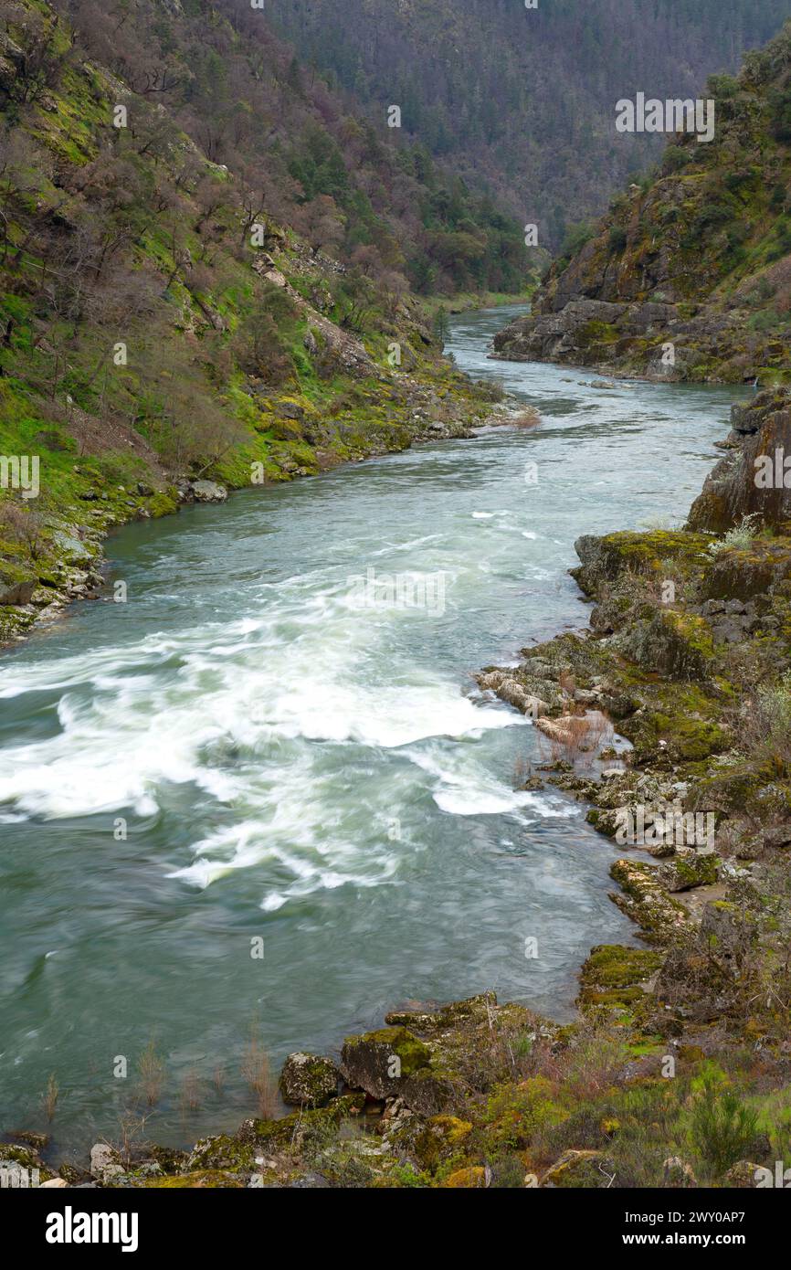 Rogue Wild and Scenic River from Rogue River National Recreation Trail ...