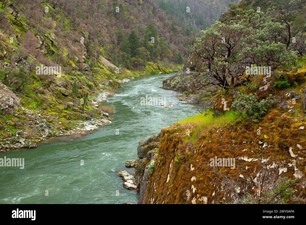 Rogue Wild and Scenic River from Rogue River National Recreation Trail ...