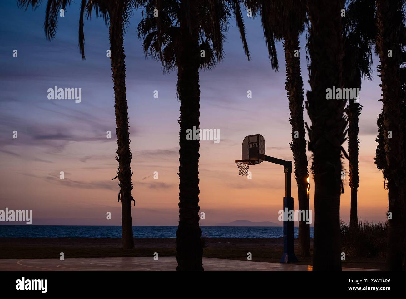 outdoor basketball court with hoop at sunset in palm trees park ...