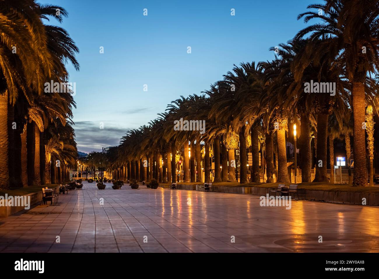 palm tree alley and sunset at beautiful Salou coastal town, tropical ...