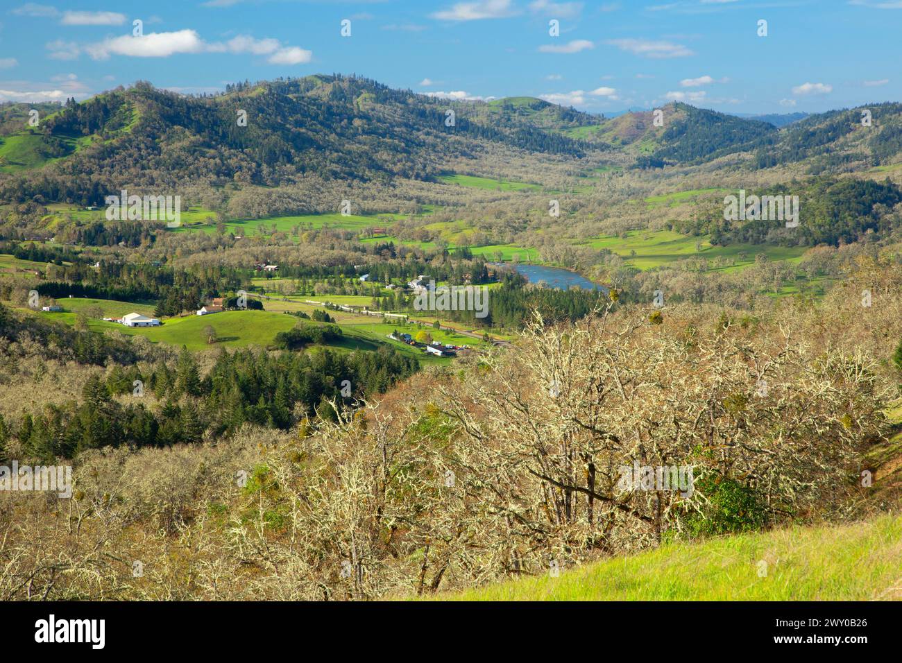 Oregon white oak (Quercus garryana) woodland, North Bank Habitat ...