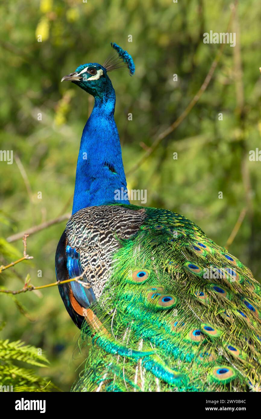 Mildred kanipe memorial park hi-res stock photography and images - Alamy